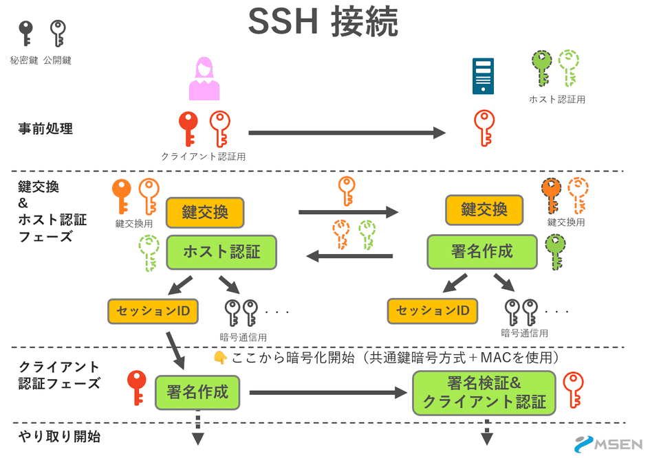 SSH と各暗号技術を理解しよう | MSeeeeN