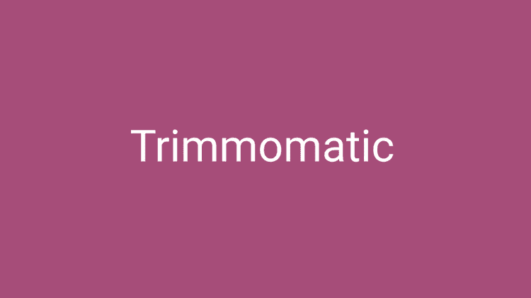 Trimmomatic 処理速度の改善方法 | MSeeeeN